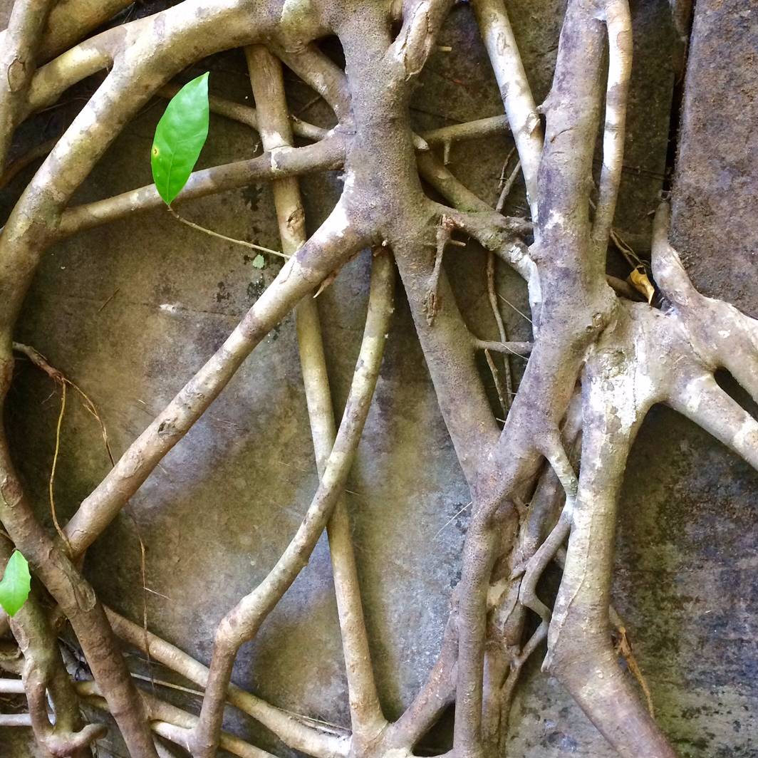 Release & Refresh by Lisa Pollard (5m 26s) - Aura