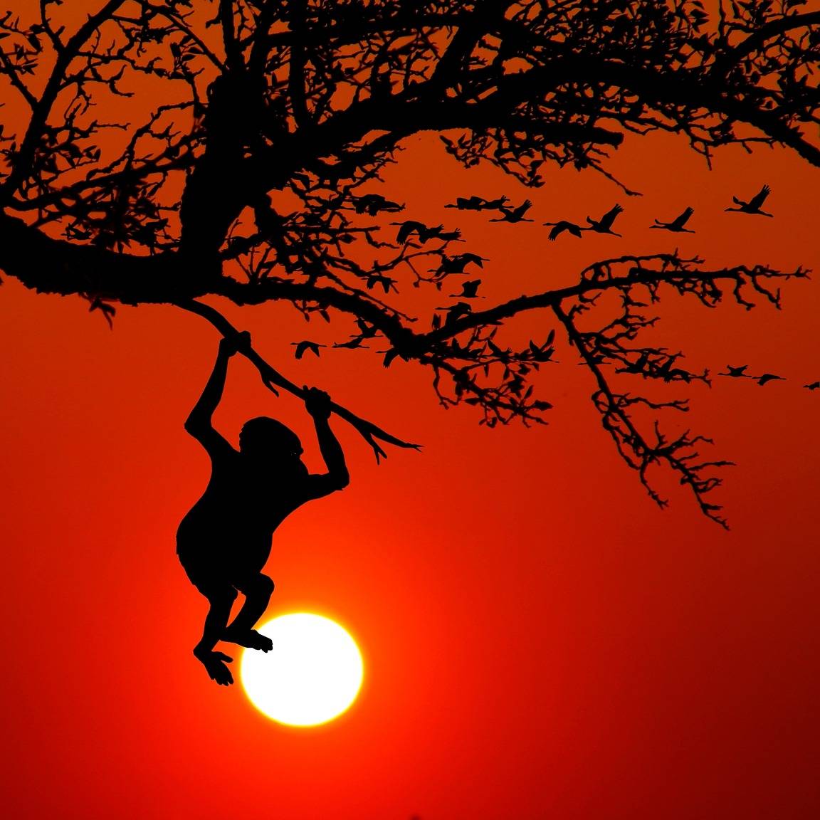 Monkey Mind - Short Story by Nitima Priya (7m 8s) - Aura