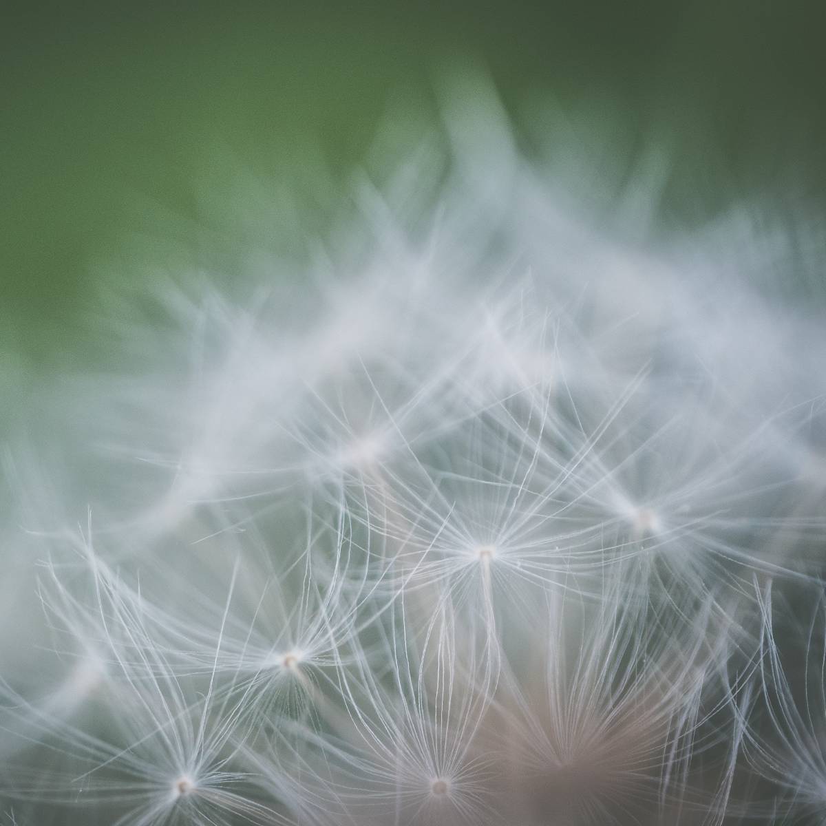 Softening Your Body by Jiva Masheder (3m 22s) - Aura