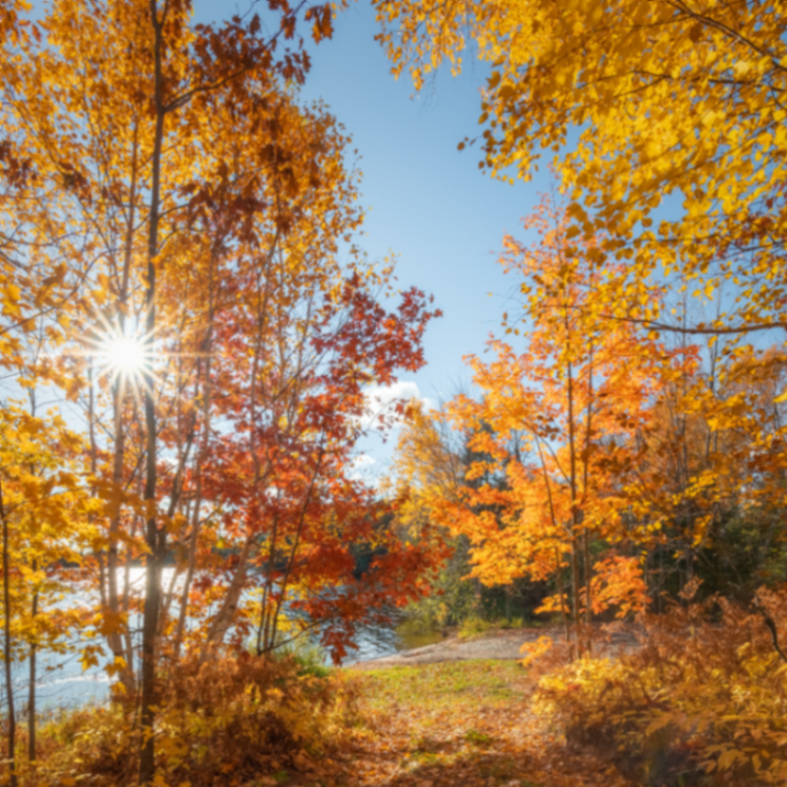 3-Minute Gratitude Practice by Jiva Masheder (3m 29s) - Aura