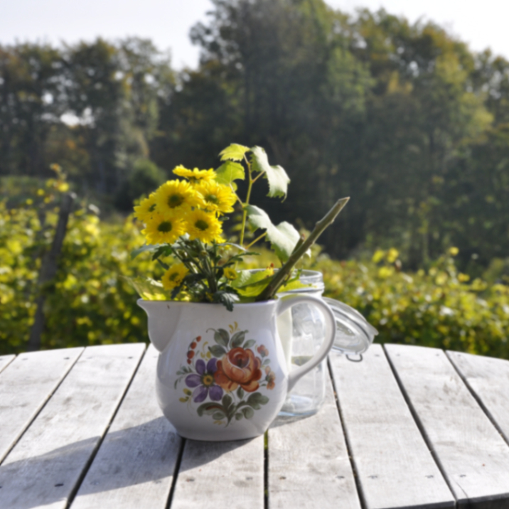 Appreciation and Gratitude by Jiva Masheder (3m 23s) - Aura