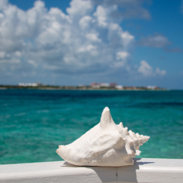 Beautiful Island Meditation For Sleep (21m 27s) - Aura