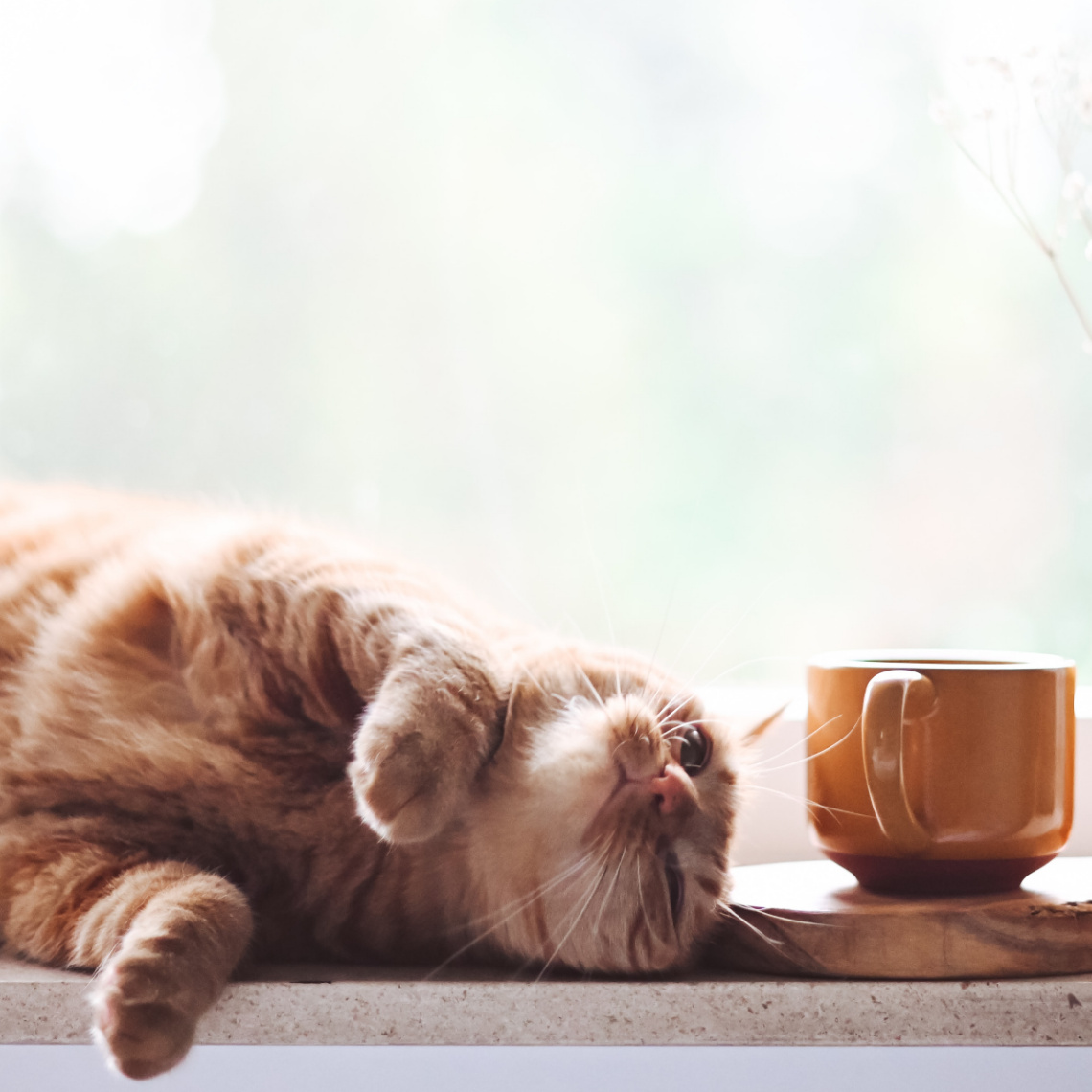 7- Minute 'it's OK' by Jiva Masheder (7m 12s) - Aura