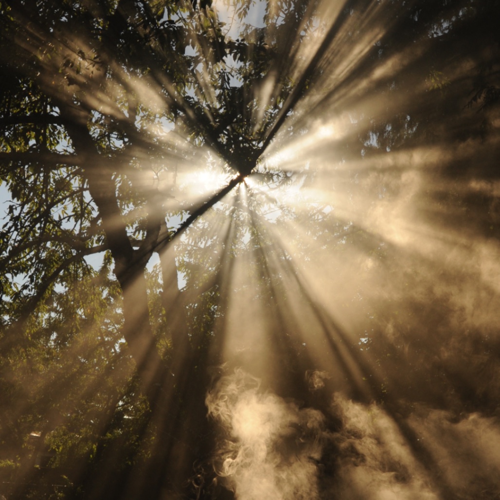 I Am Divine by Ivy LoveLanguage (3m 22s) - Aura