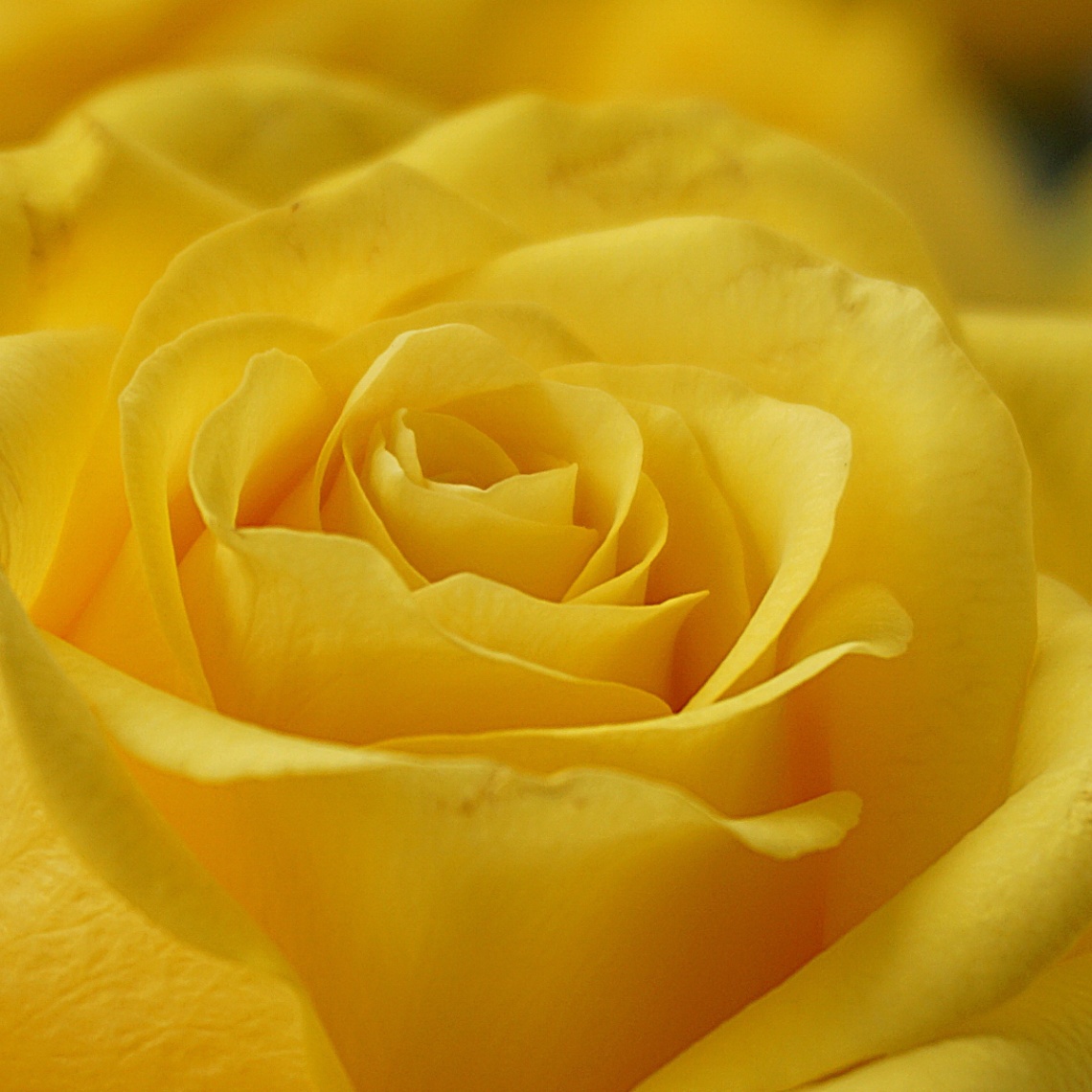 Manage Pain With Positive Affirmations track by Linda Hall (0h 17m 27s ...