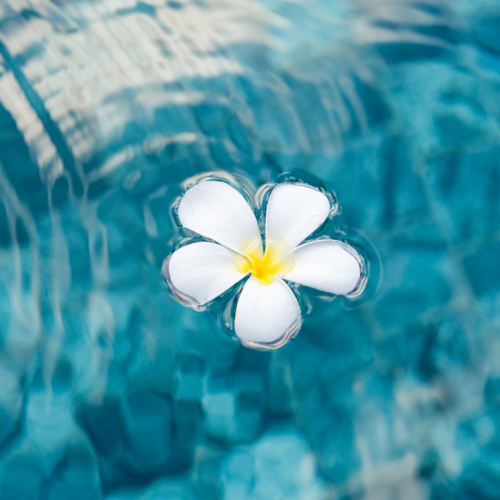 Uncovering Your Core Values by Lisa Hopkins (6m 40s) - Aura