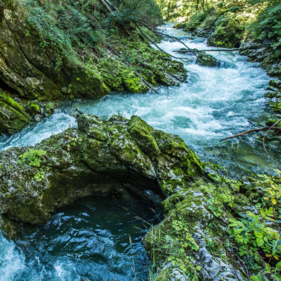 The River by Jennifer Louise (3m 23s) - Aura