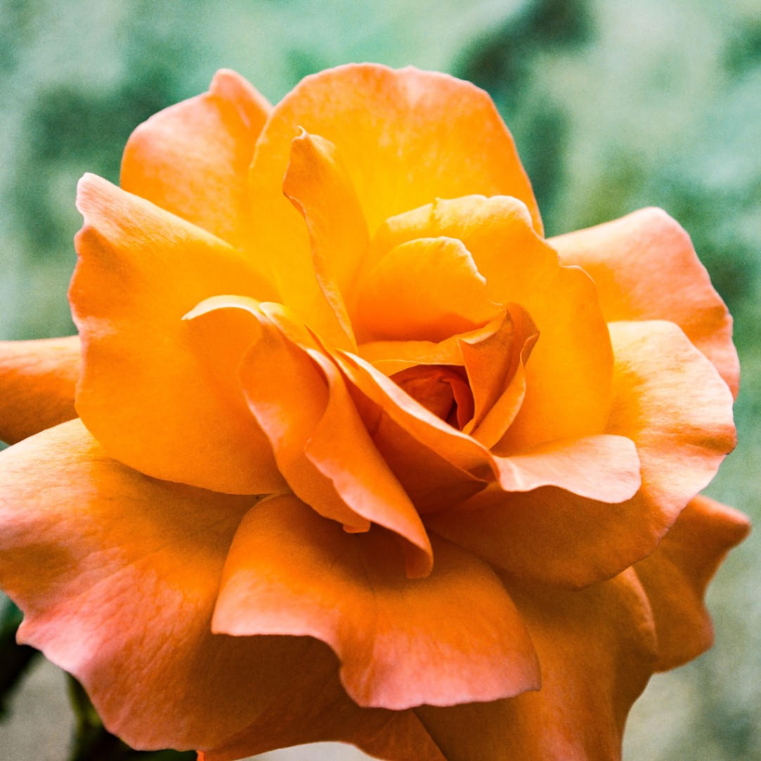 I Am Affirmations for A Happier Self by Neha Prabhakar (7m 39s) - Aura