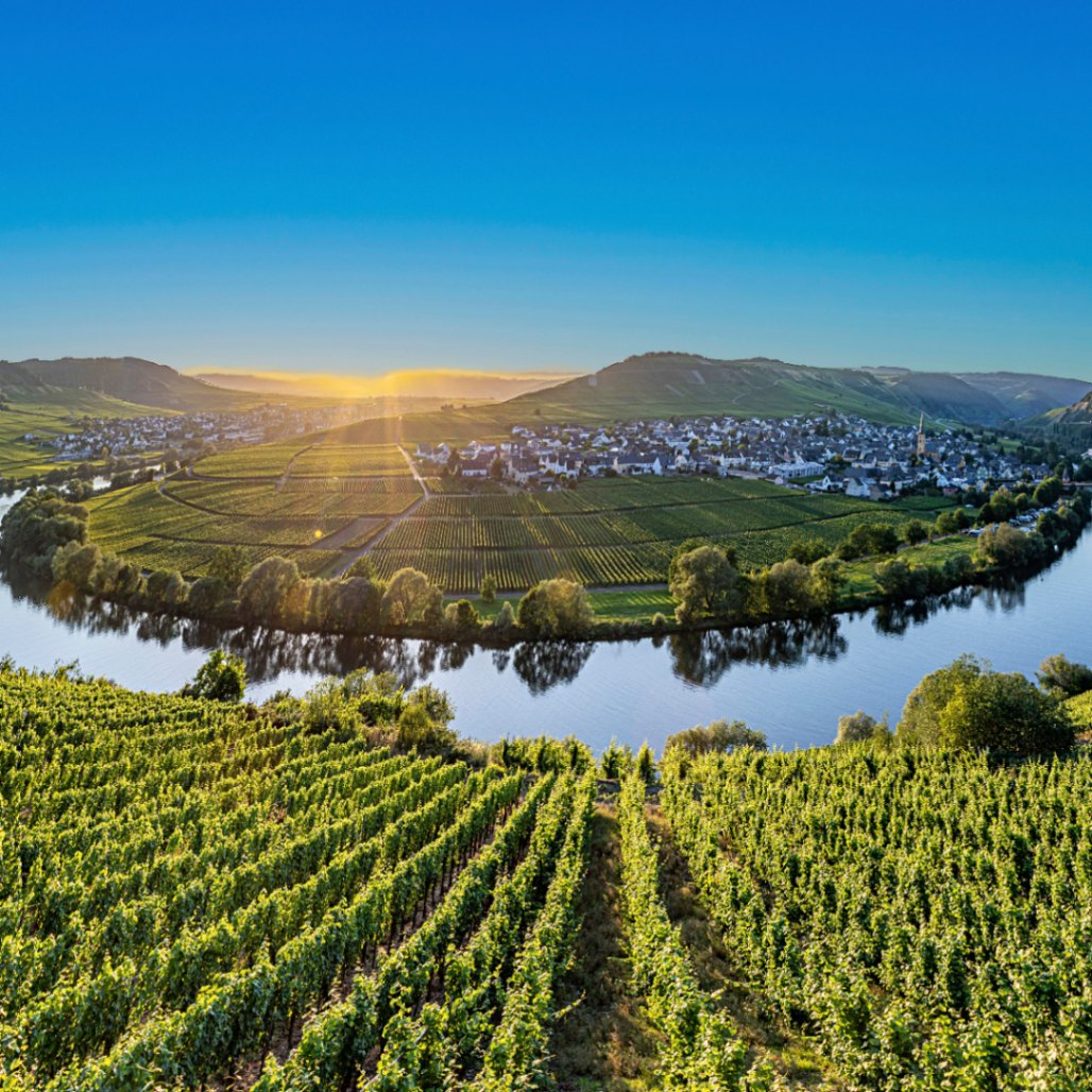 Chakra Work For Boundaries by Saqib Rizvi (19m 47s) - Aura