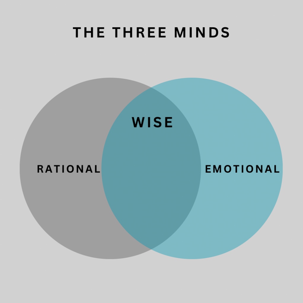 Using Your Wise Mind to Make Decisions (3m 53s) - Aura