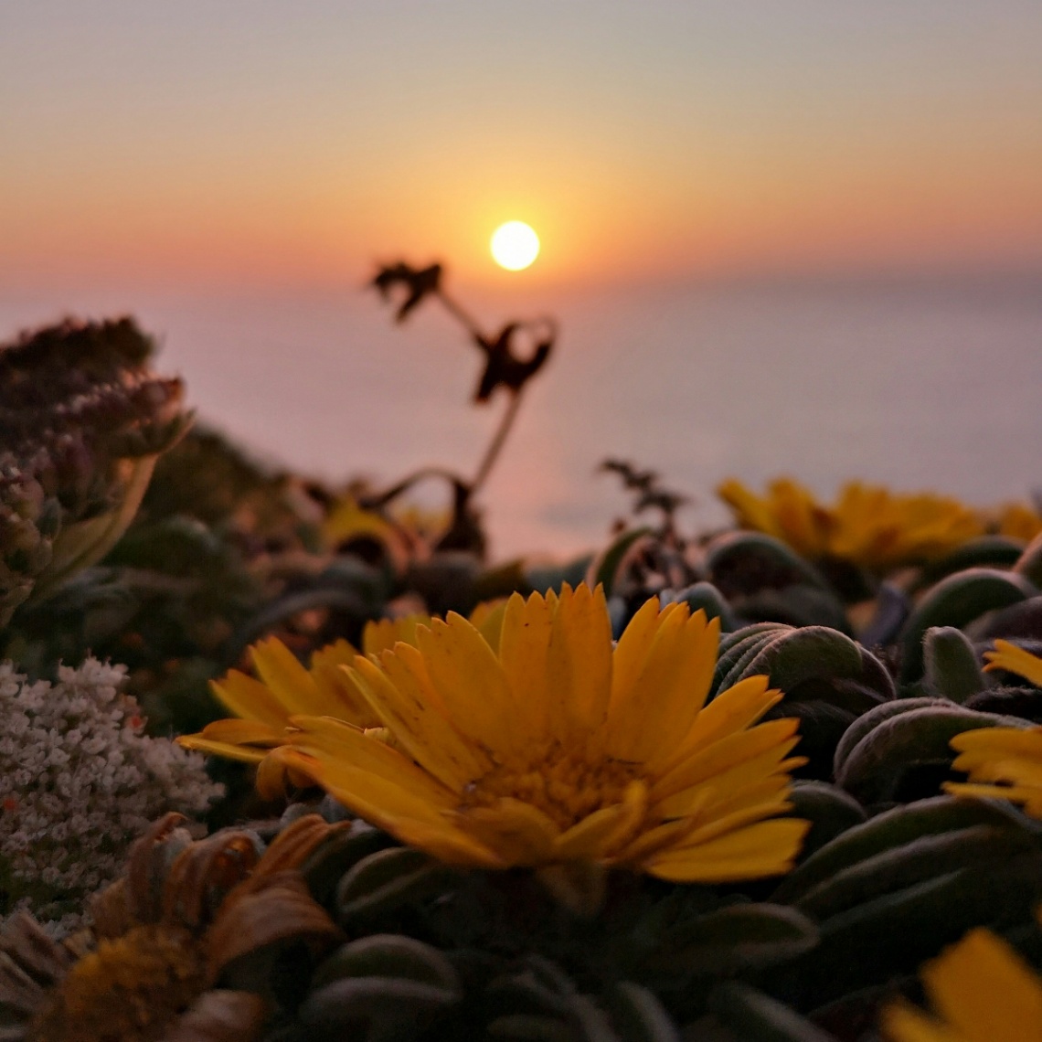 Meditação para Iniciar Bem seu Dia by Darrell Champlin (8m 3s) - Aura